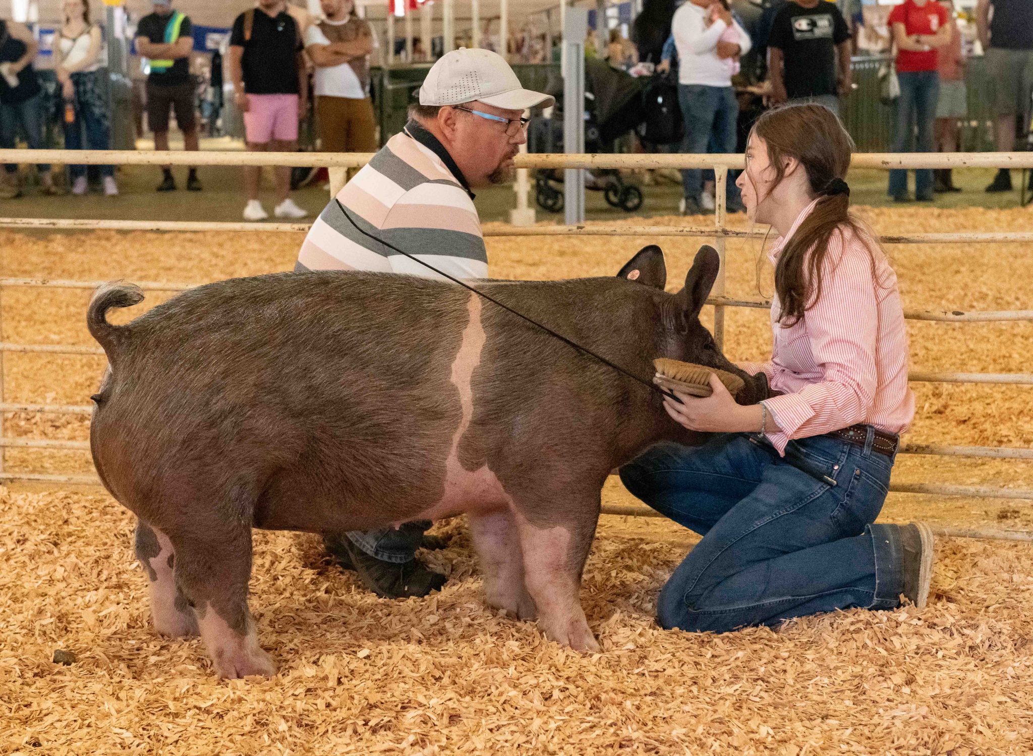 What to know about the 2023 Oregon State Fair - Salem Reporter