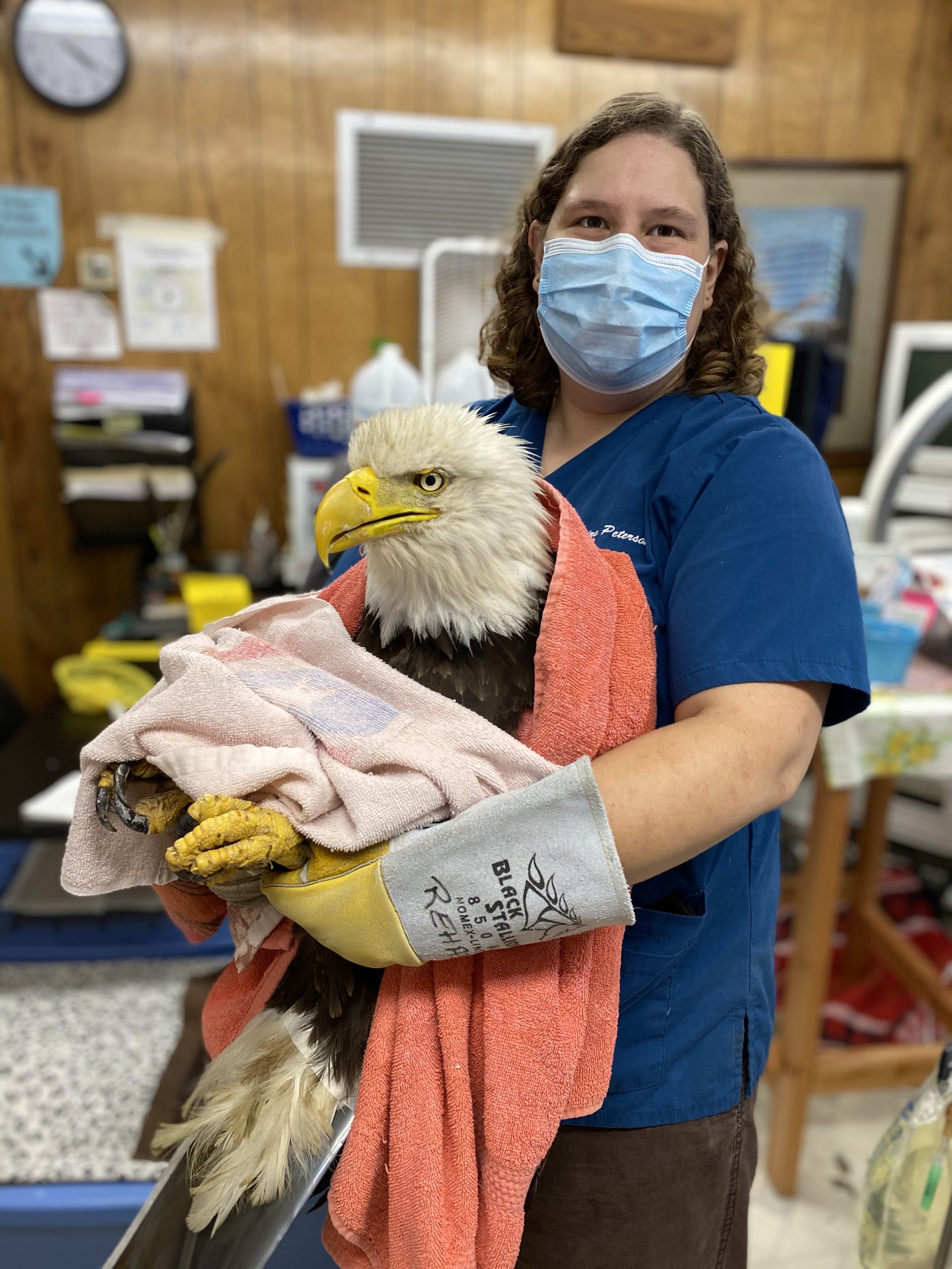 Wildlife center supporting thousands of Oregon animals calls on ...