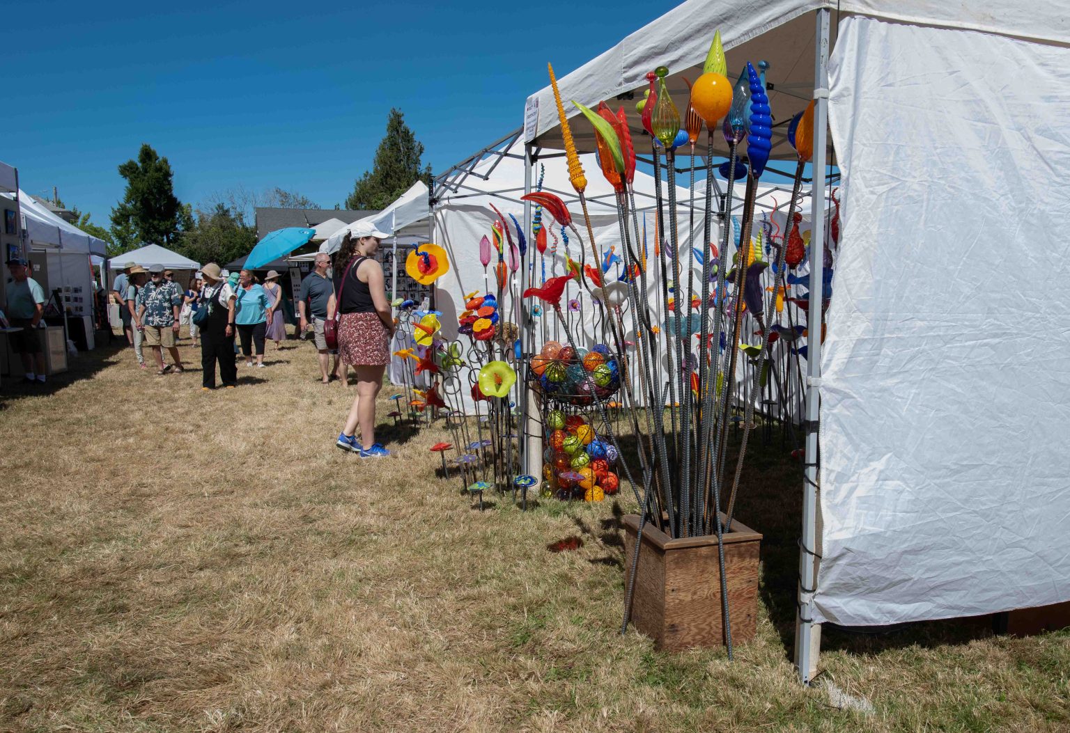 A guide to Salem’s 2025 summer events - Salem Reporter