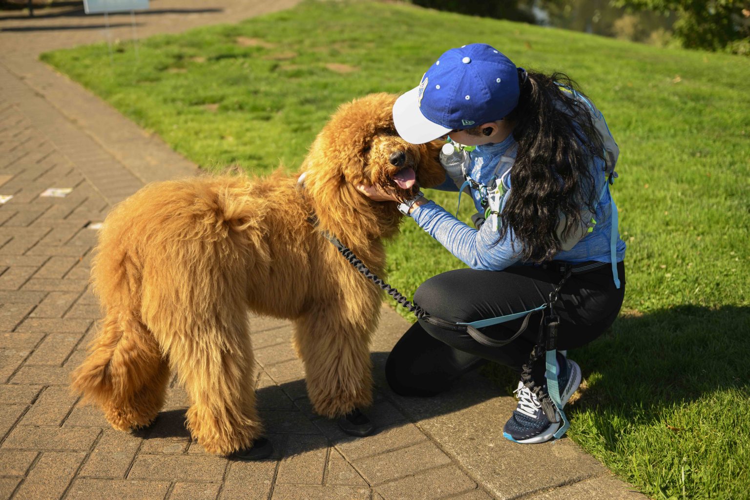 PHOTOS: Dog doppelgängers, costumes and limbo on display at WillaMutt ...