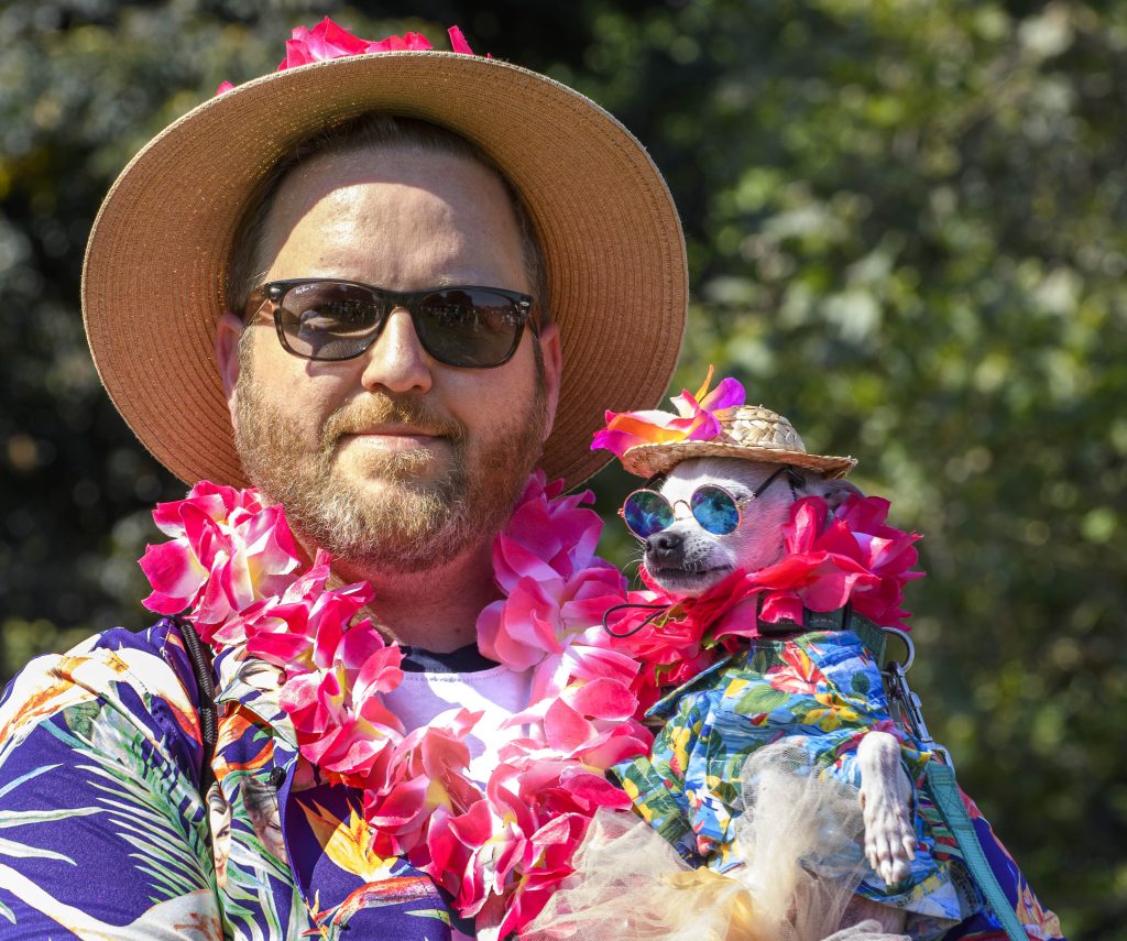 PHOTOS: Dog doppelgängers, costumes and limbo on display at WillaMutt ...