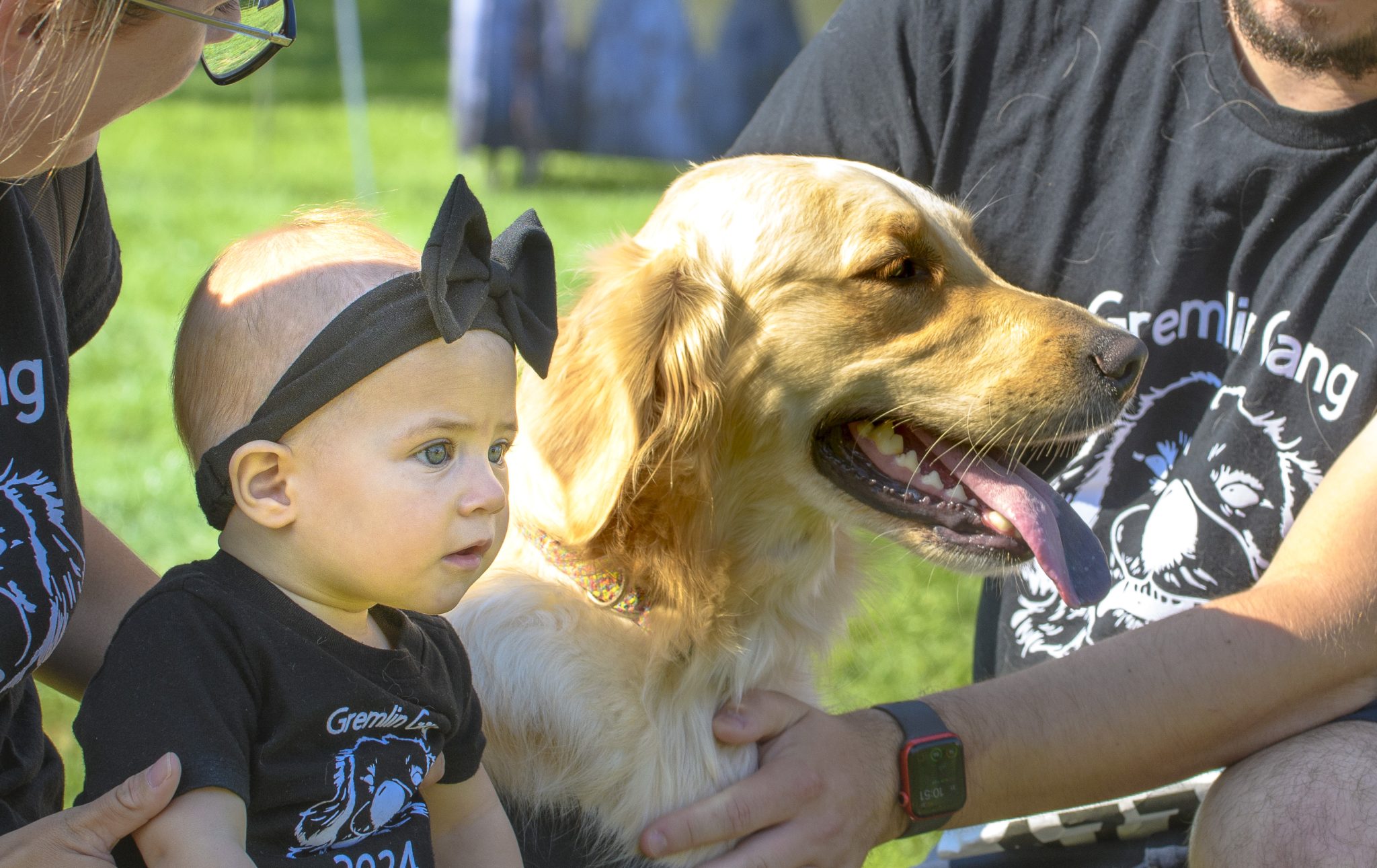 PHOTOS: Dog doppelgängers, costumes and limbo on display at WillaMutt ...