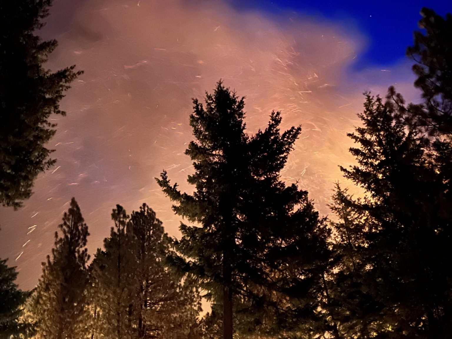Oregon wildfire survivors to pay federal taxes on settlements next year ...