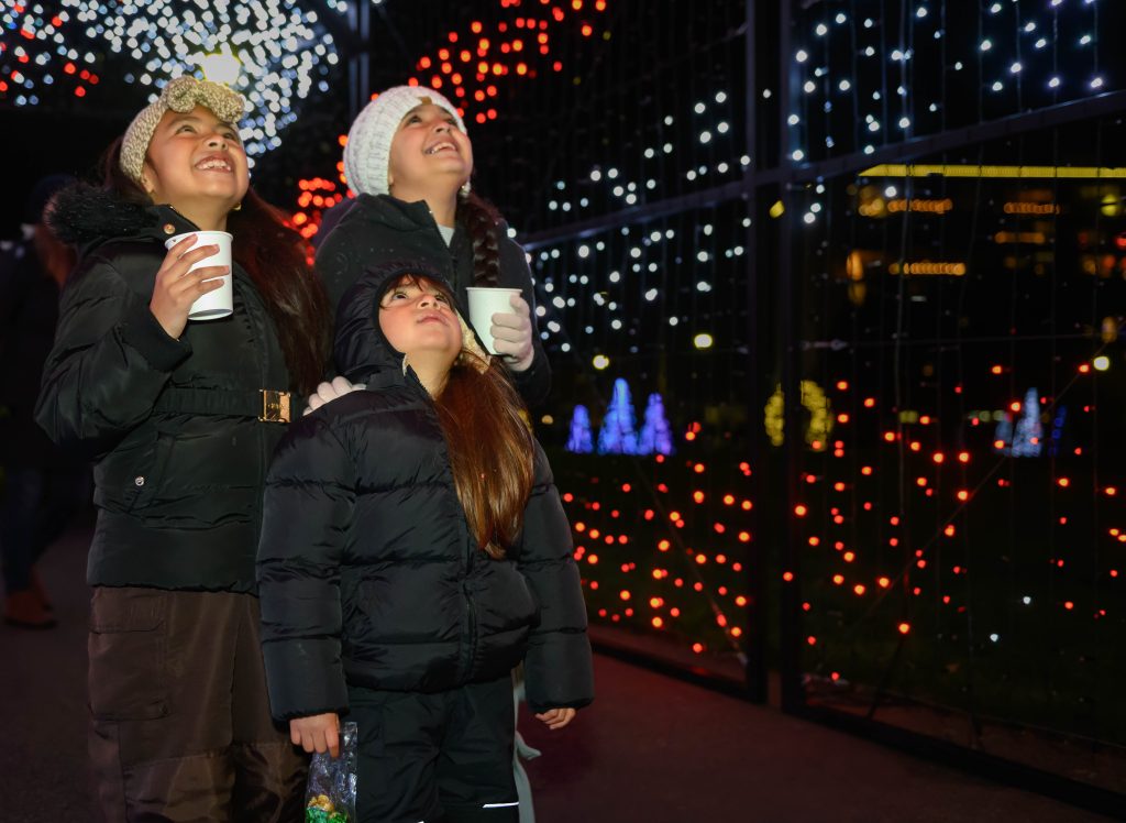COLUMN: Salem's first Christmas tree - Salem Reporter