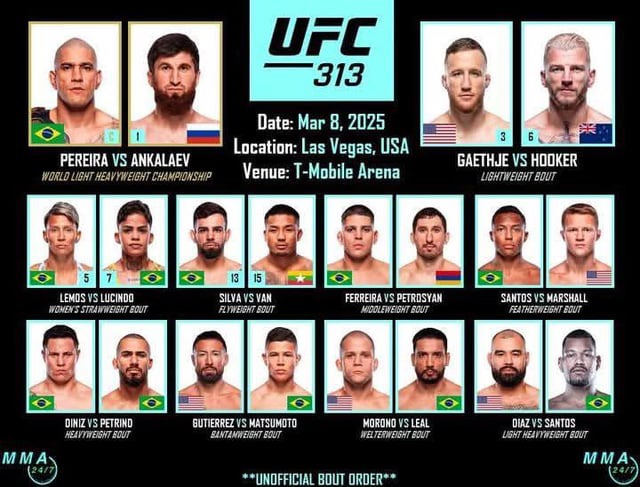 UFC 313 Watch Party - Salem Reporter