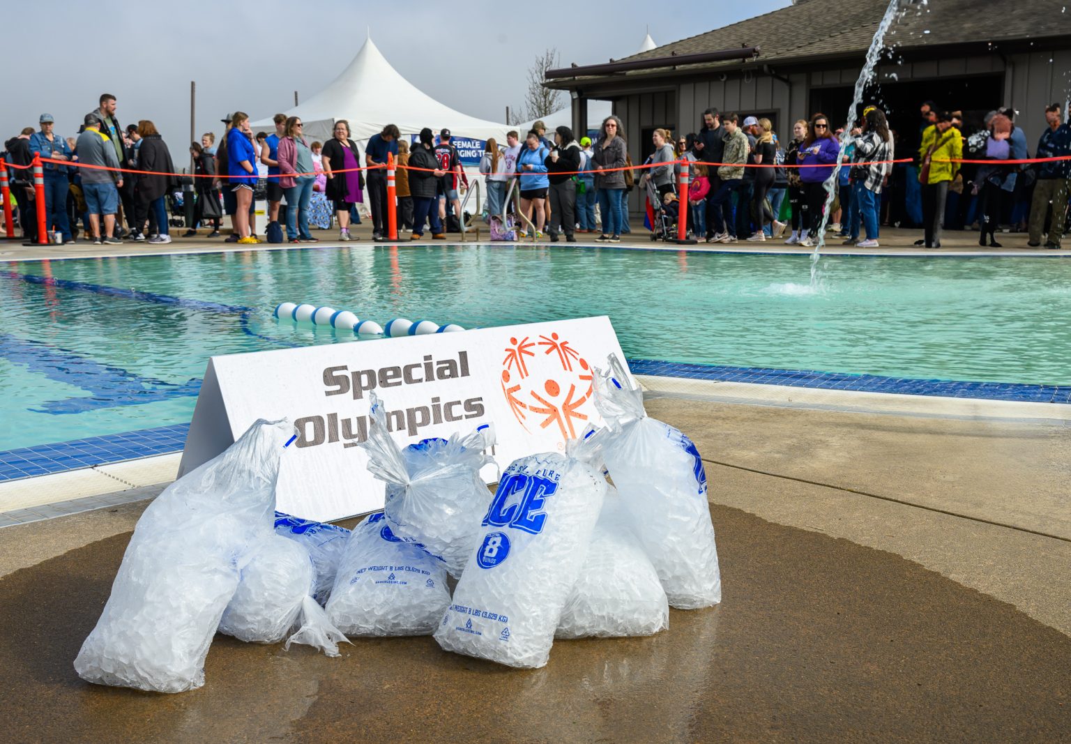 PHOTOS: Polar Plunge 2025 raises thousands for Special Olympics - Salem ...