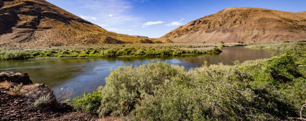 Group formed to grant money from Oregon's Monsanto settlement - Salem ...