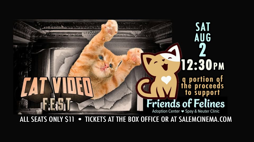 Cat Video Fest at Salem Cinema! - Salem Reporter